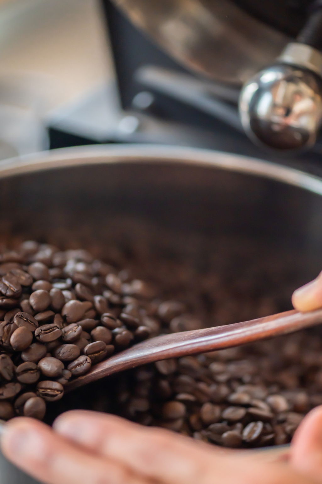 コーヒー豆の下処理と焙煎へのこだわり | ARI SAN COFFEE通販 - たべるとくらすと